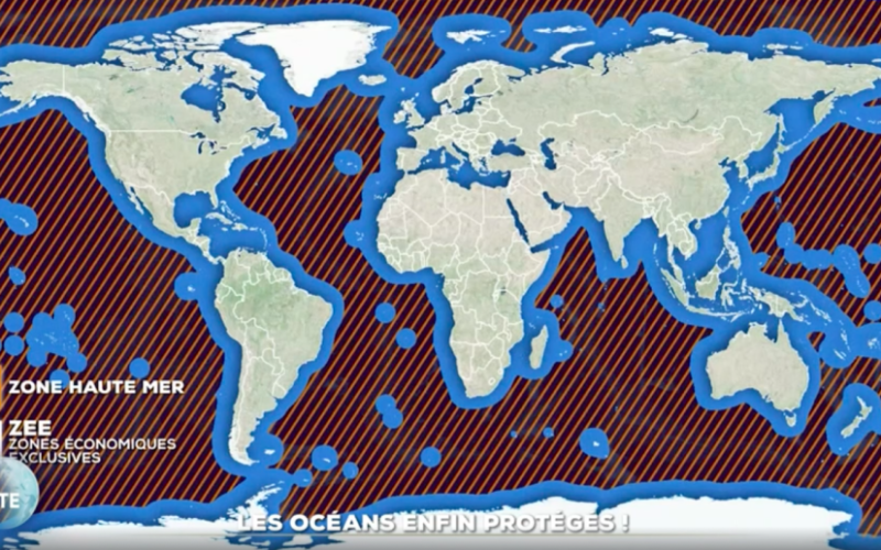 Protection de l’environnement : Cinq faits à retenir sur la haute mer ...