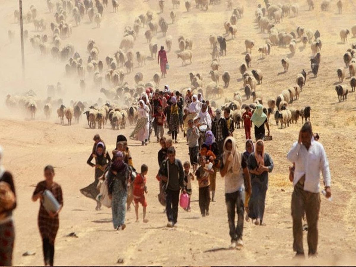 Migrations climatiques : quelles mesures pour les déplacés ...